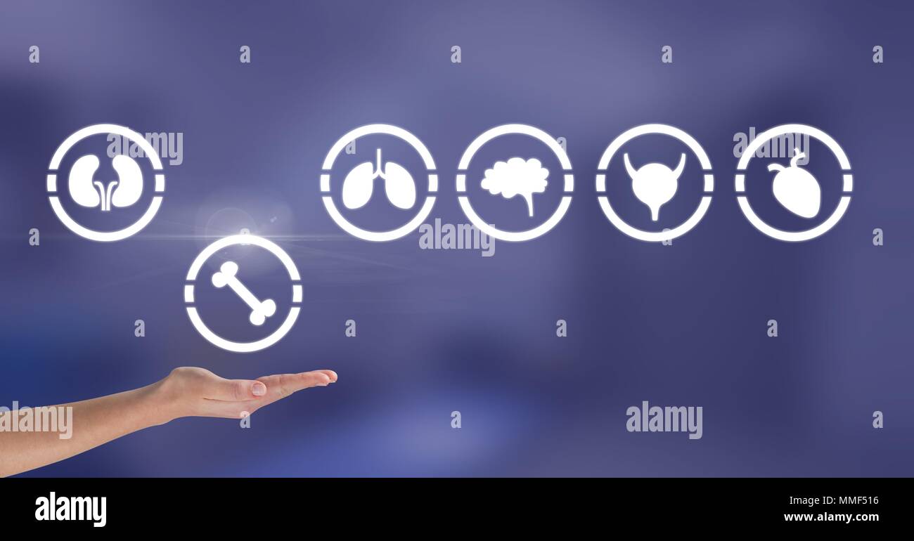 Organs body hi-res stock photography and images - Alamy