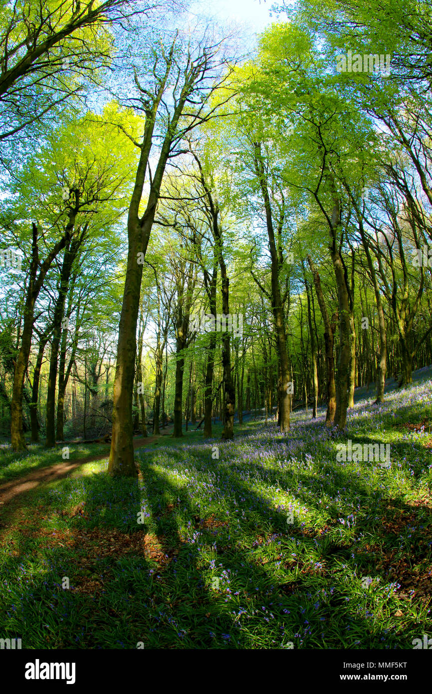 Rhiwbina hi-res stock photography and images - Alamy