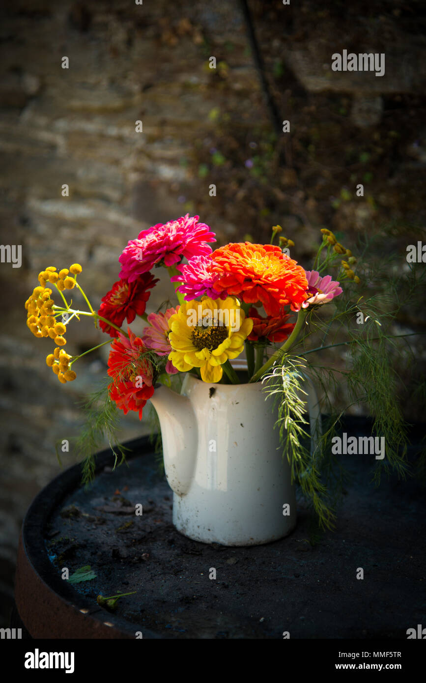 In a Cornish country garden in England Stock Photo - Alamy