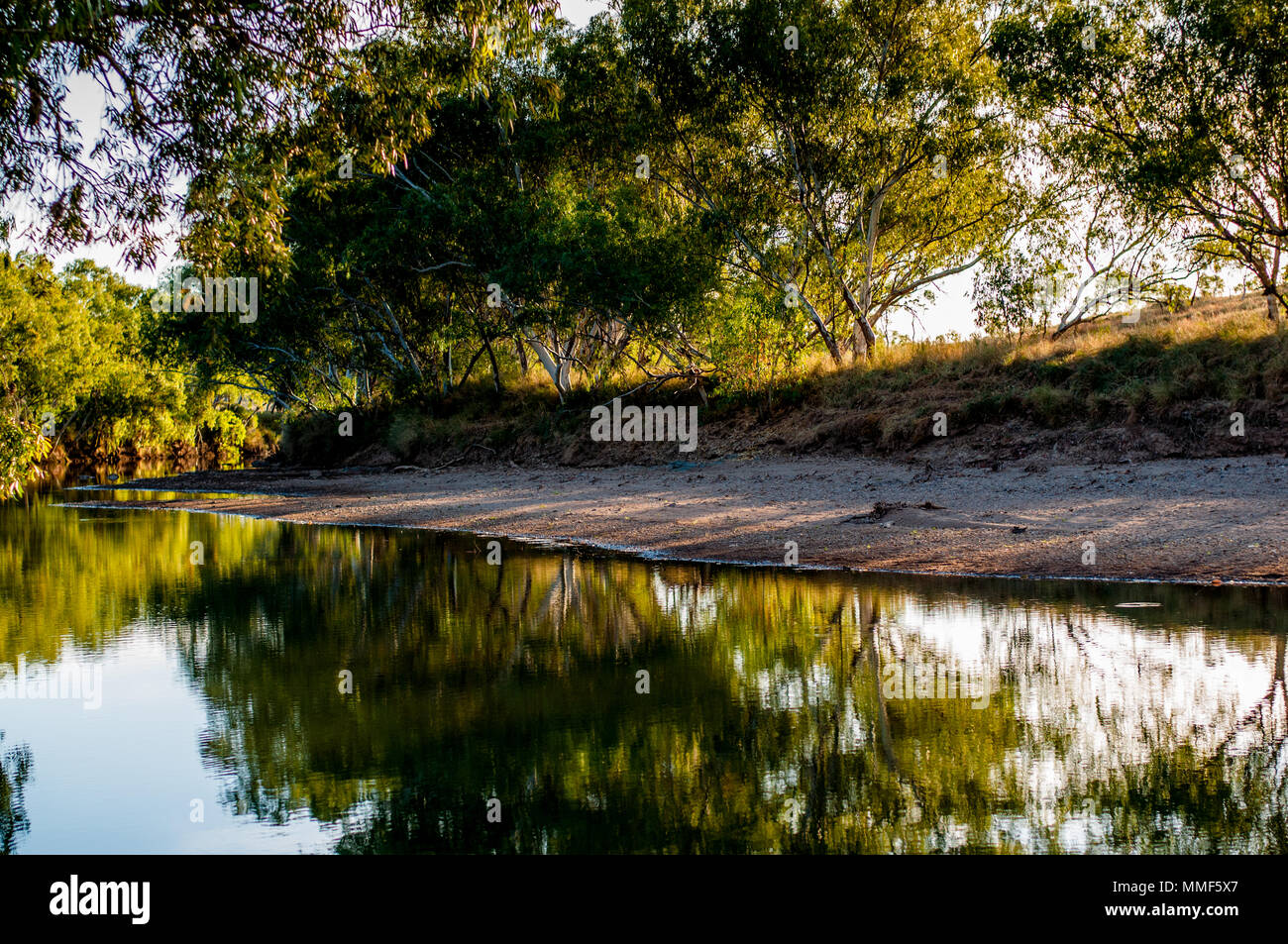 Boab trees sunset outback australia hi-res stock photography and images ...
