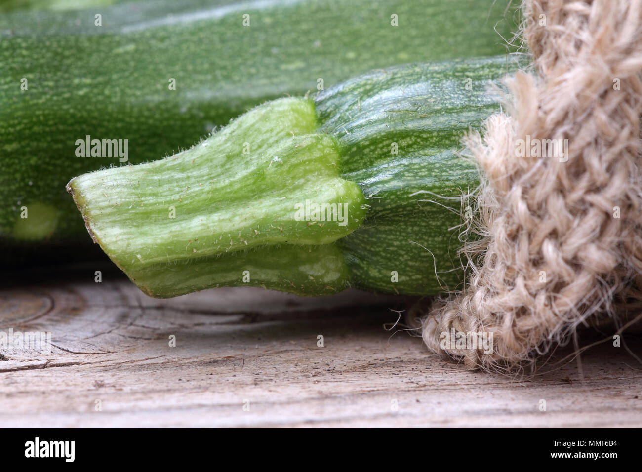 zucchini lined up at the market Stock Photo - Alamy