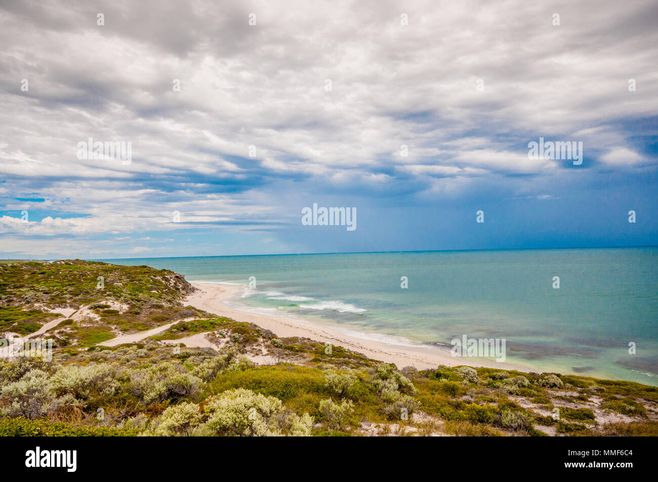 Western australia coast trees hi-res stock photography and images - Alamy