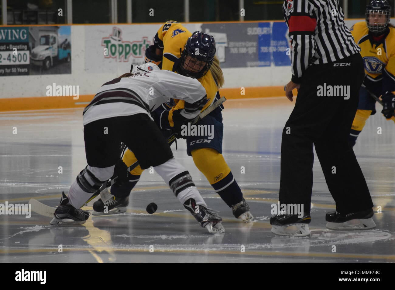 Ottawa gee gees hi-res stock photography and images - Alamy