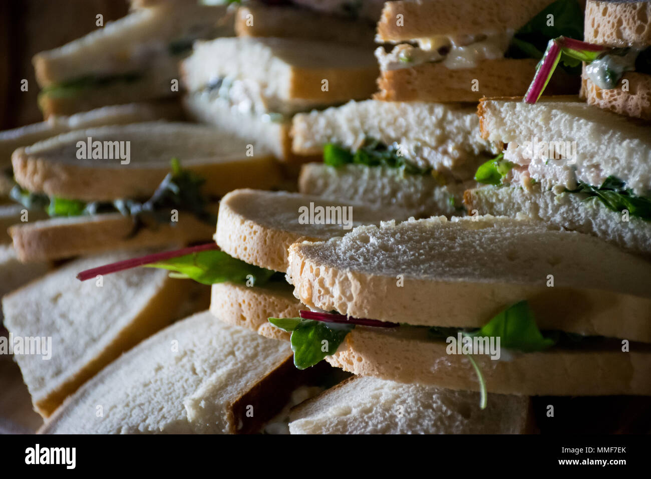 Mixed cheese sandwiches hi-res stock photography and images - Alamy