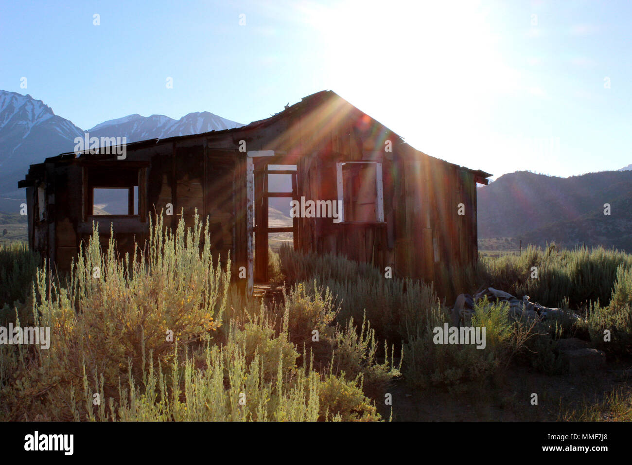 Mammoth house hi-res stock photography and images - Alamy