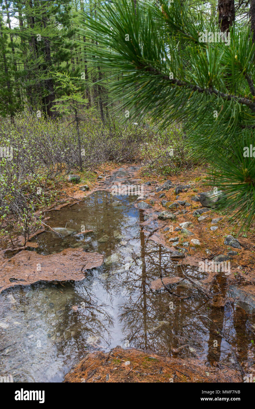 Sunny pang hi-res stock photography and images - Alamy