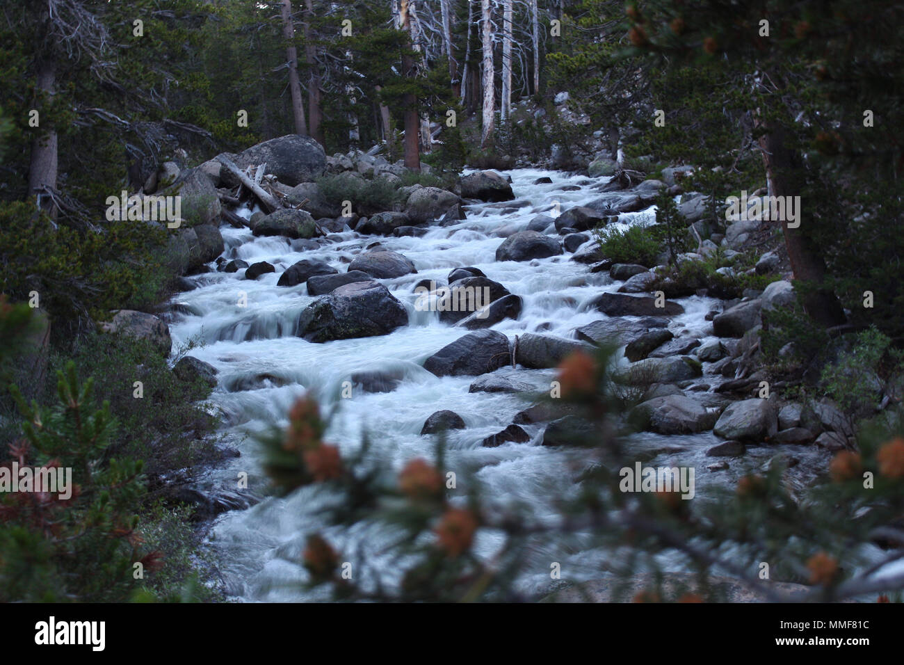Yosemite stream and trees hi-res stock photography and images - Alamy
