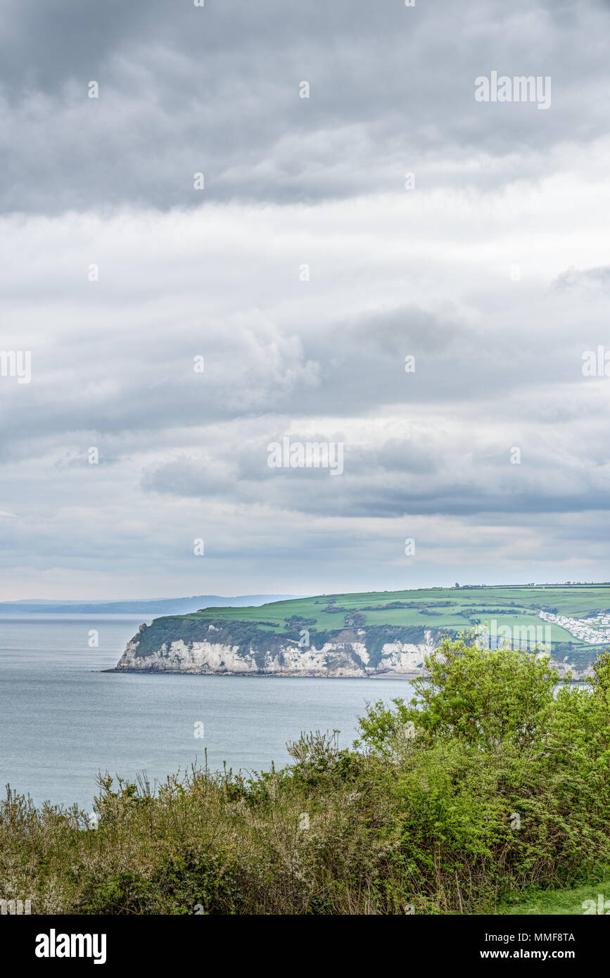 Beer Head Devon Stock Photos & Beer Head Devon Stock Images - Alamy