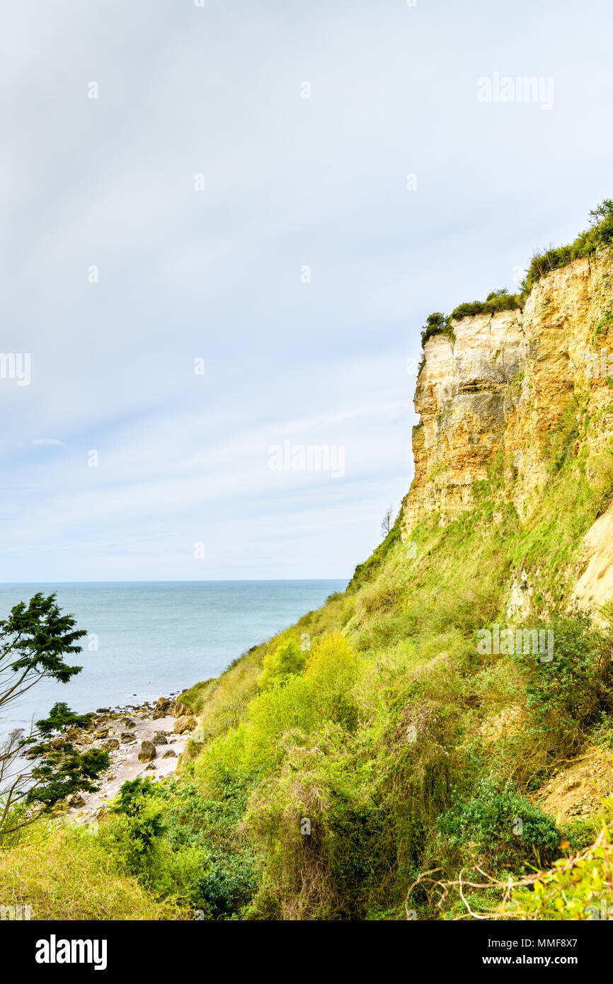 Beer head cliffs hi-res stock photography and images - Alamy