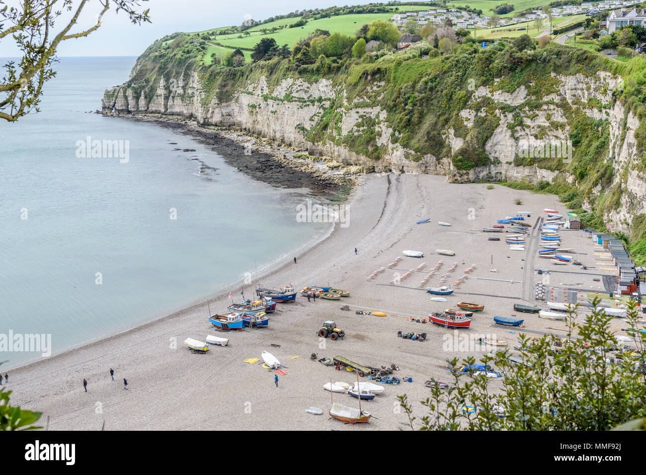 Beer head devon hi-res stock photography and images - Alamy