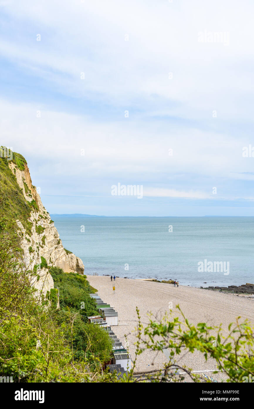 The chalk cliffs of Beer Head above the beach alongside the english ...