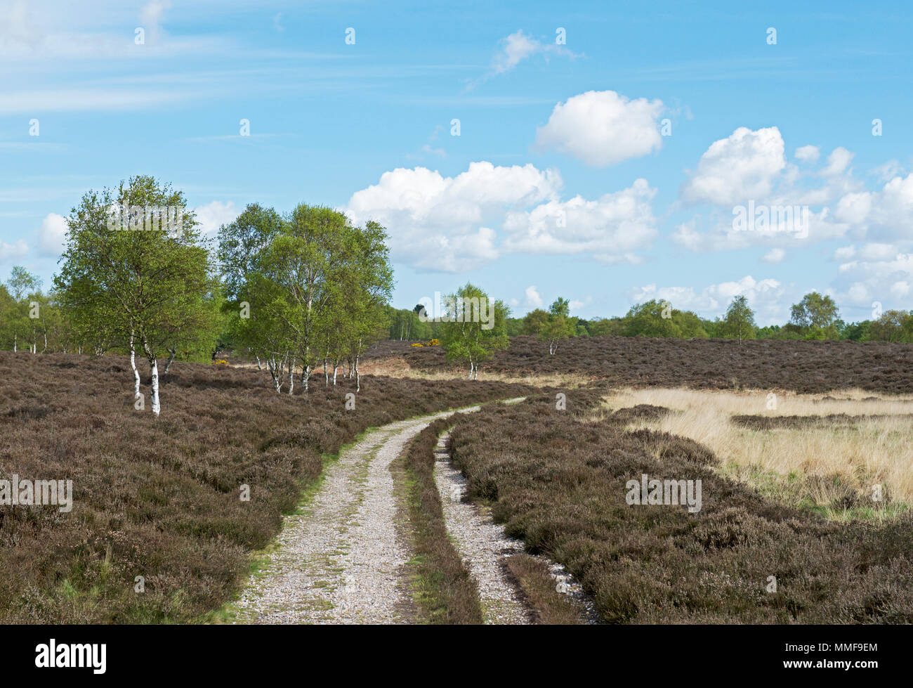 Westleton suffolk england hi-res stock photography and images - Alamy