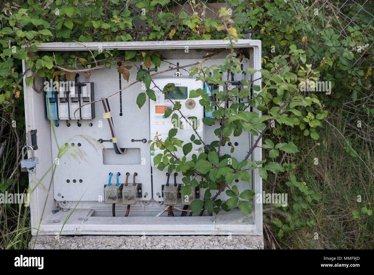 Overgrown and unsafe electrical switchboard, a concept Stock Photo - Alamy