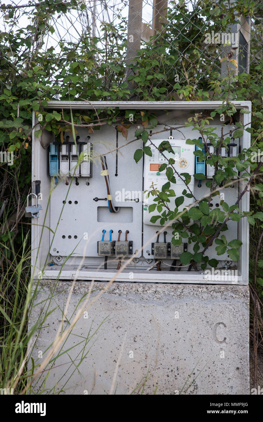 Overgrown and unsafe electrical switchboard, a concept Stock Photo - Alamy