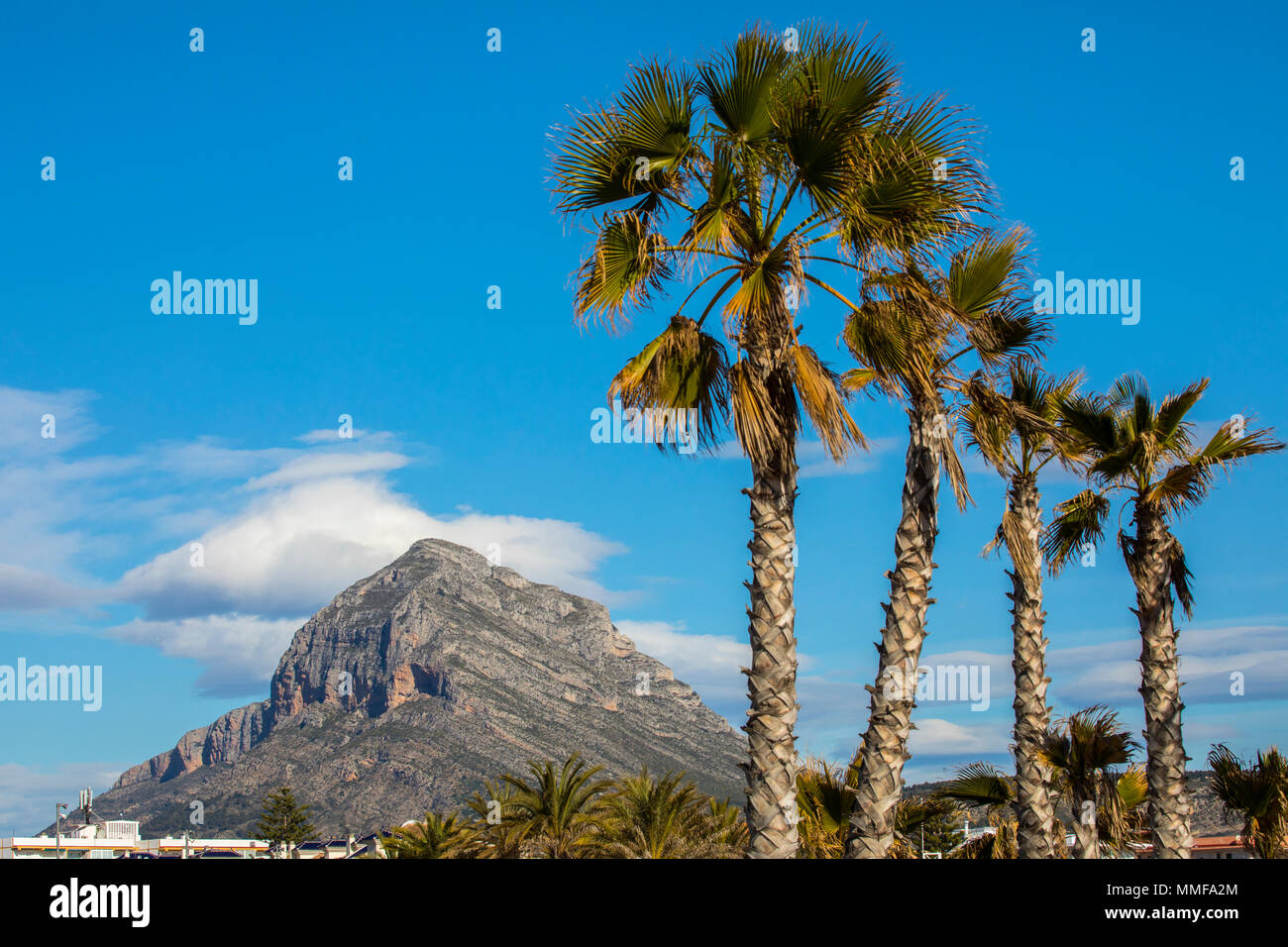 The magnificent Montgo mountain pictured with the Palm Trees on Arenal ...