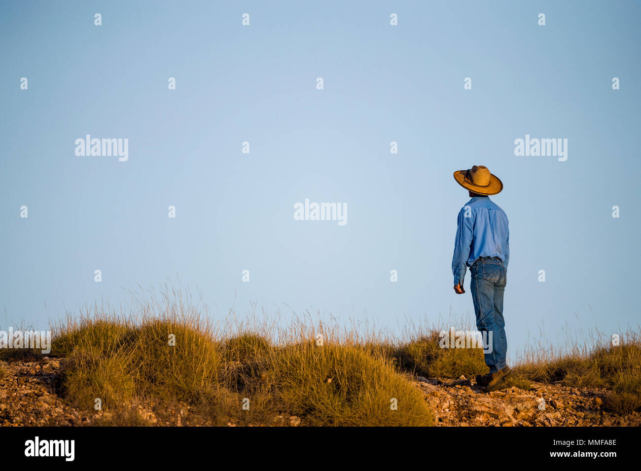 Brumby horse australia hi-res stock photography and images - Alamy