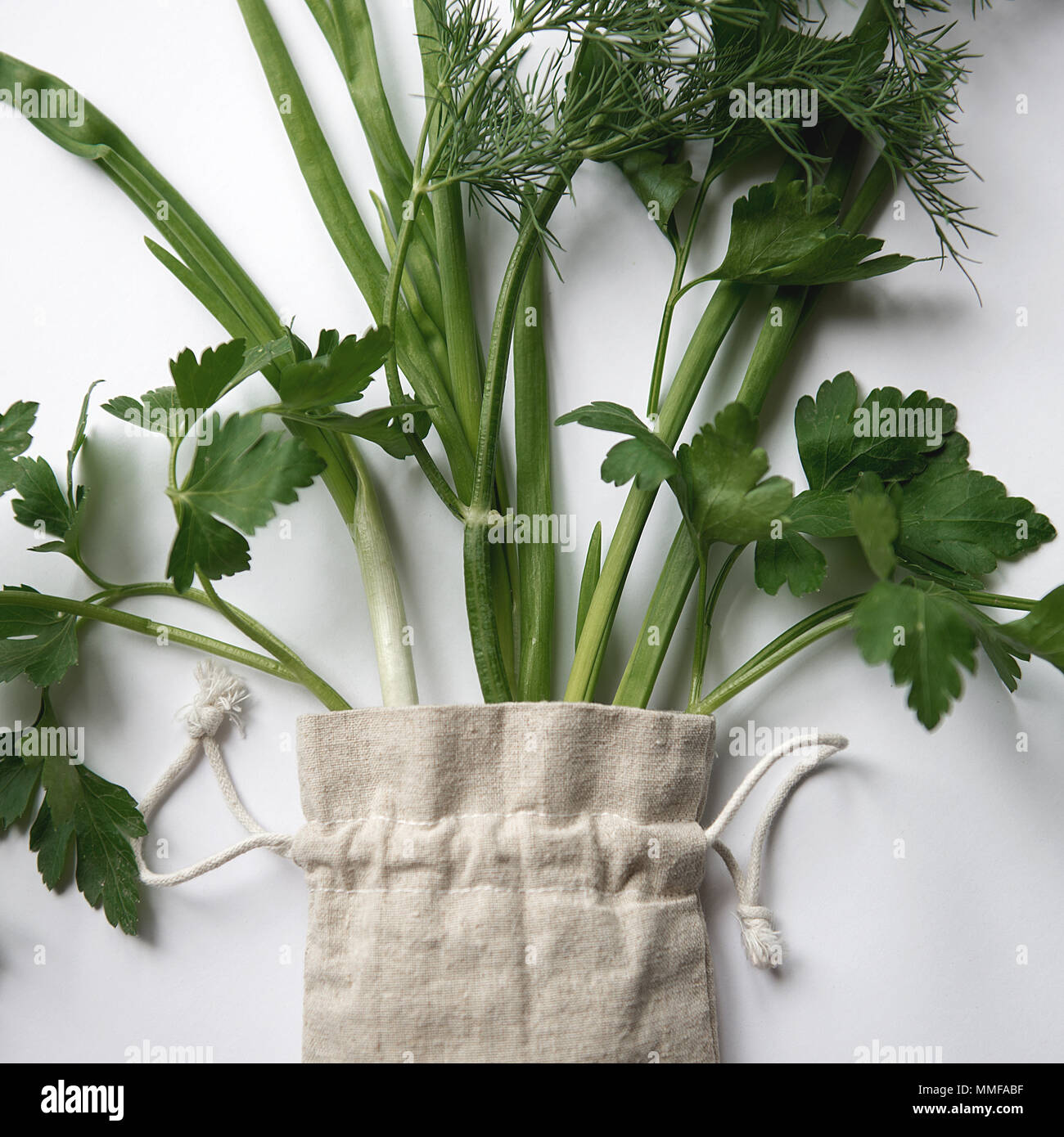 Ecco friendly hi-res stock photography and images - Alamy