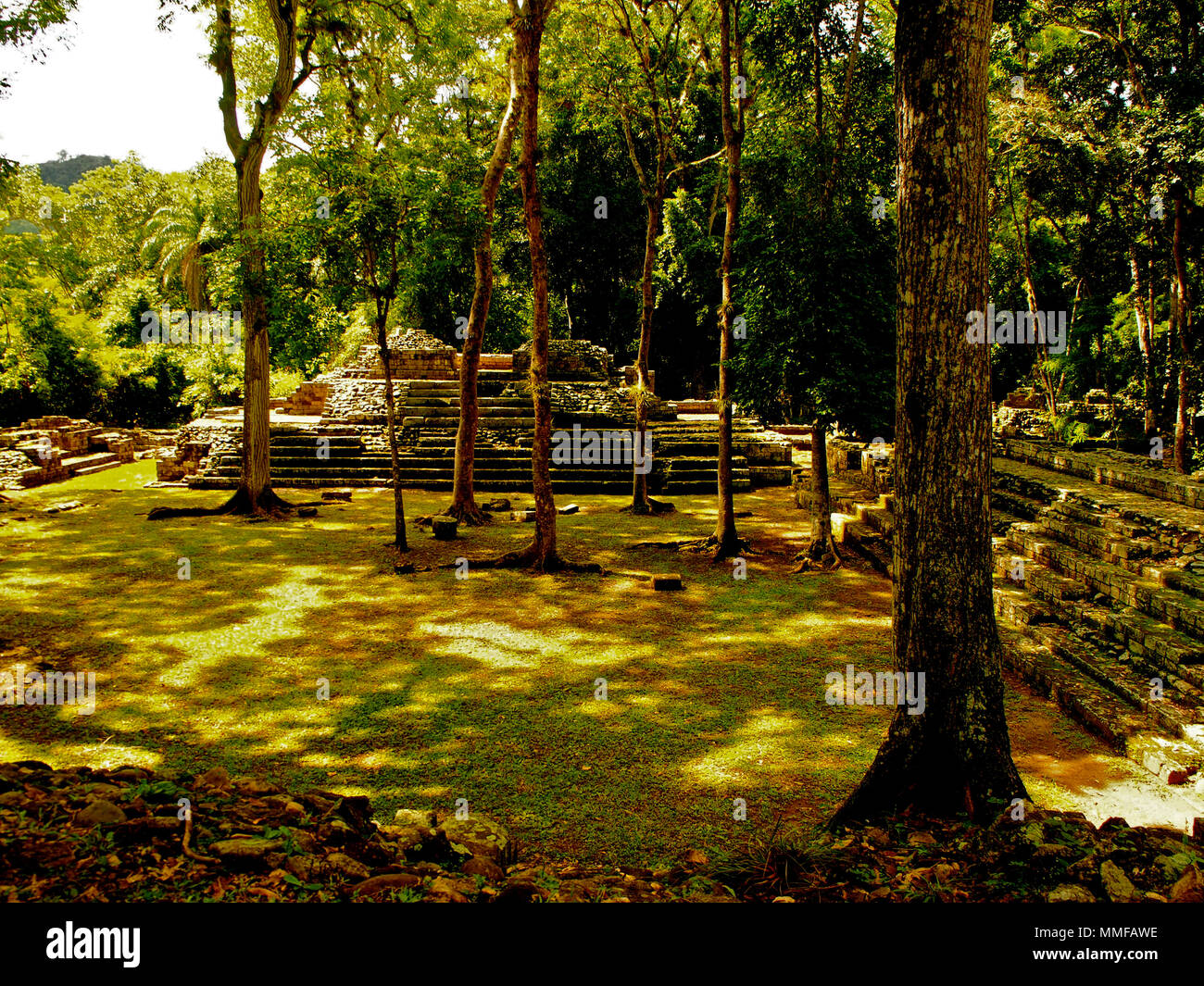 Archeological site Copan in Honduras Stock Photo - Alamy