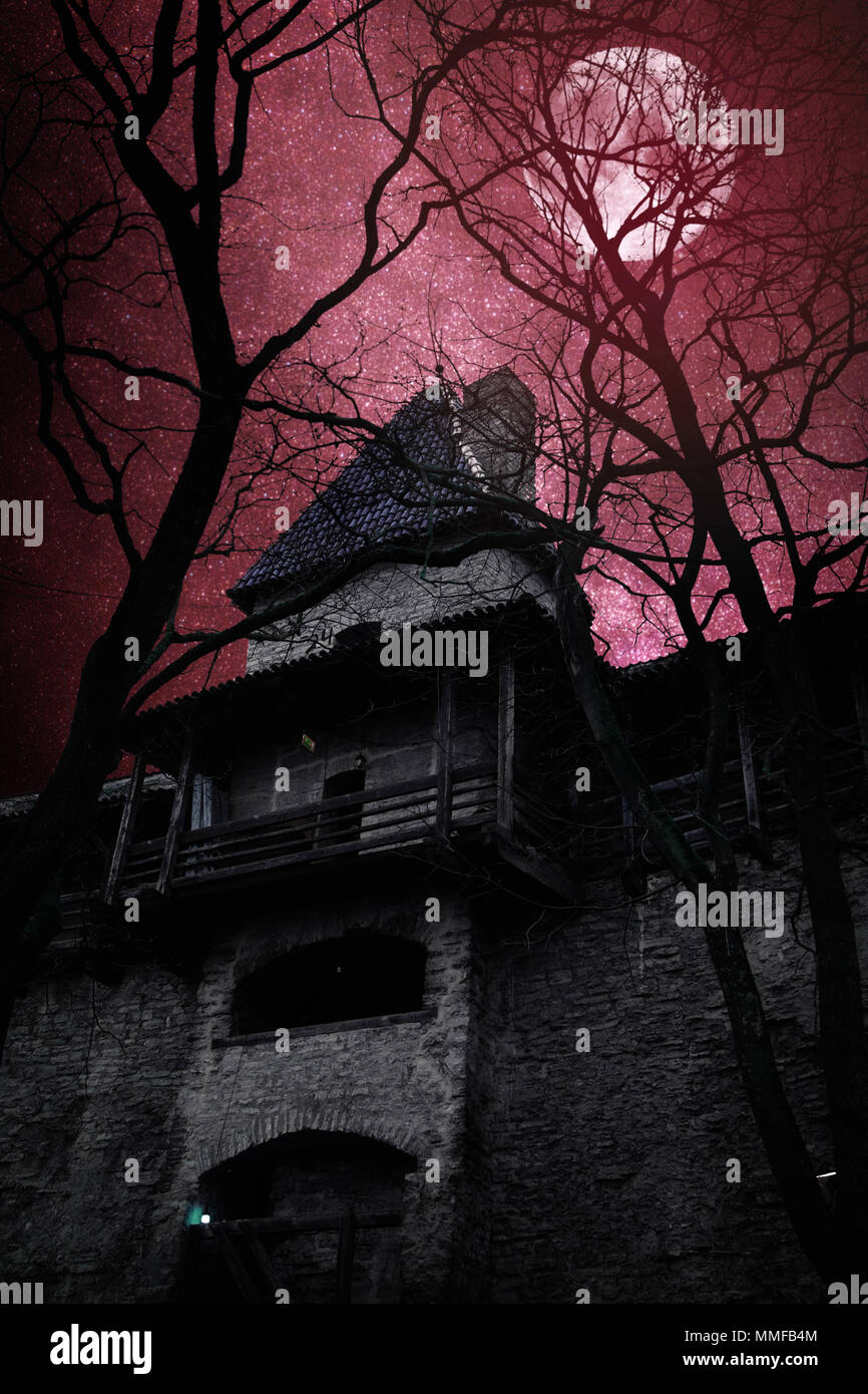 The moon is shining night. picturesque and very beautiful photos of ...