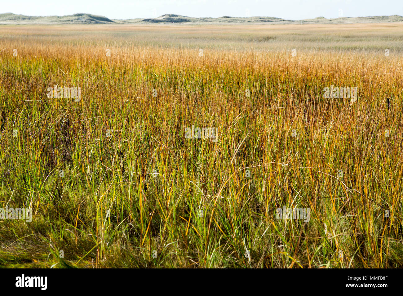 Welfleet hi-res stock photography and images - Alamy