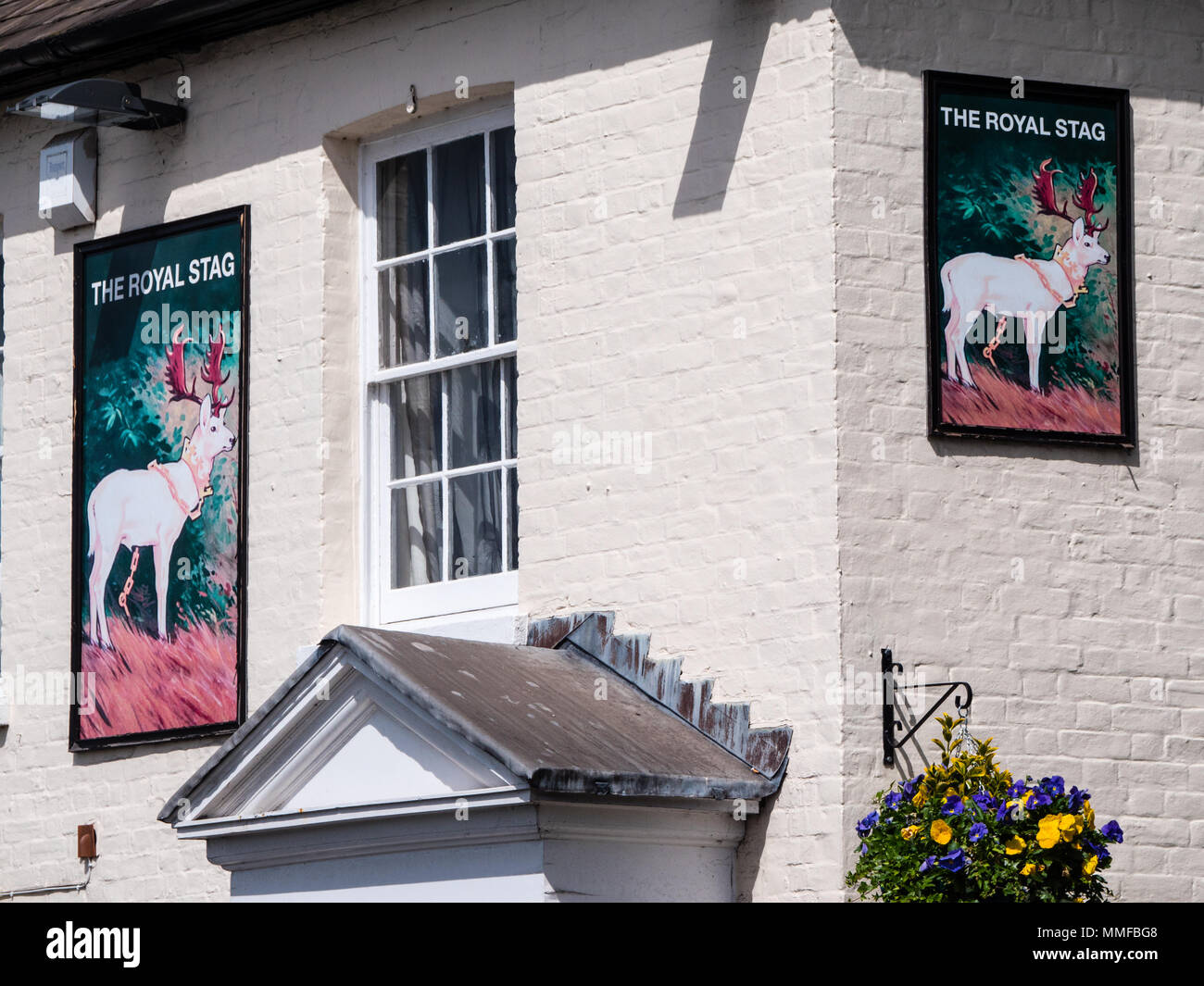 The royal stag slough hi-res stock photography and images - Alamy