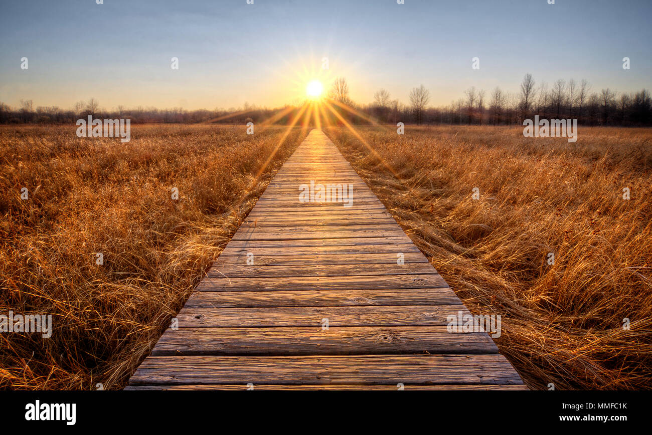 A beautiful sunset scene along a wood boardwalk with the boardwalk ...