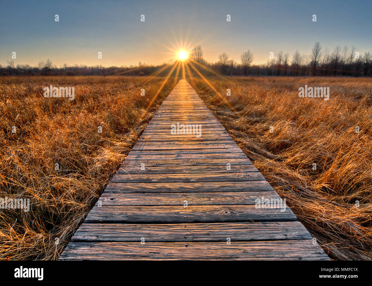 A beautiful sunset scene along a wood boardwalk with the boardwalk ...