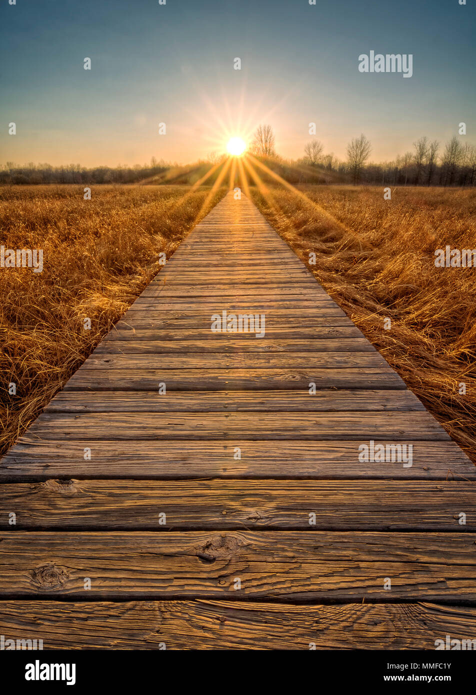 A beautiful sunset scene along a wood boardwalk with the boardwalk ...
