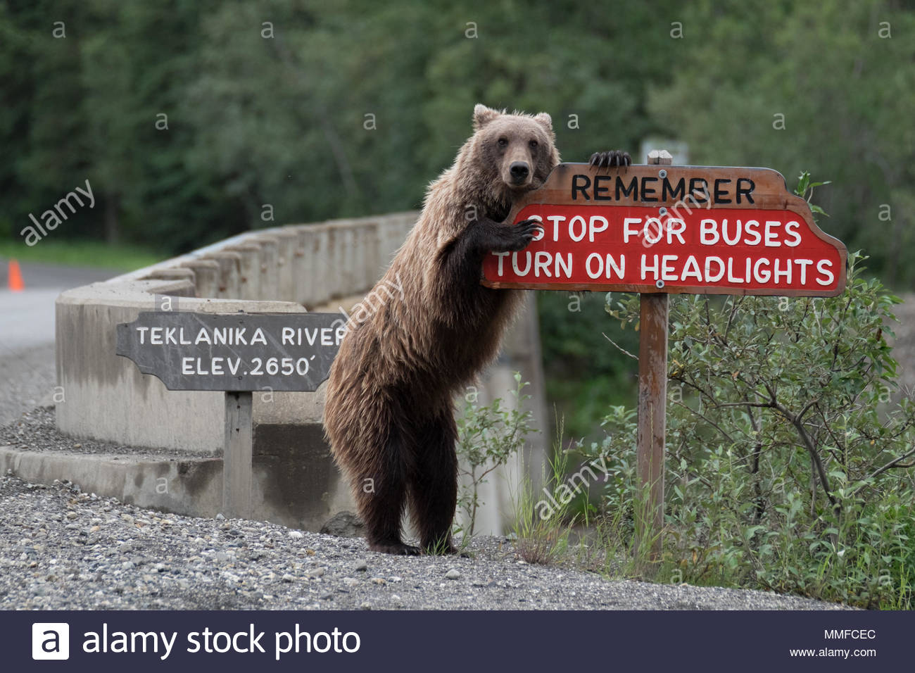 Denali National Park Sign Stock Photos & Denali National Park Sign ...