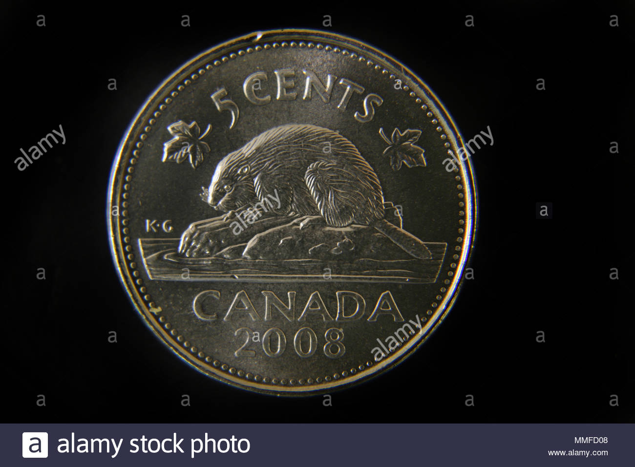 Beaver Coins High Resolution Stock Photography and Images - Alamy