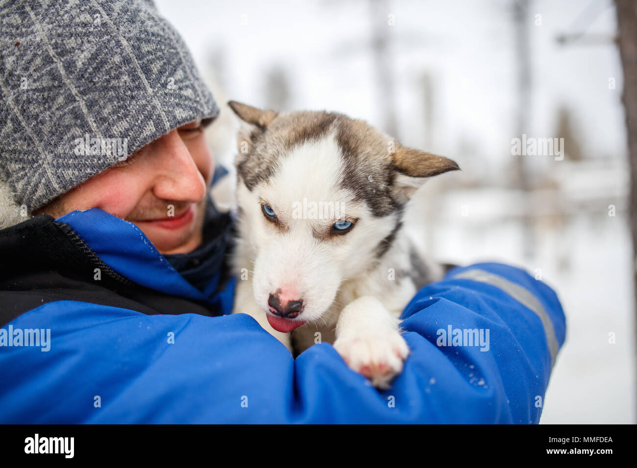 Man with a husky hi-res stock photography and images - Alamy