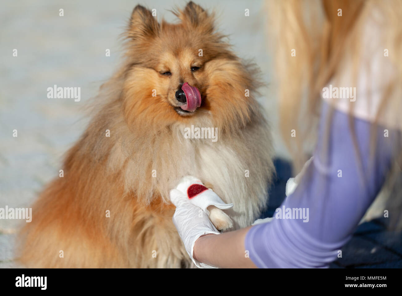 Bandage blood hi-res stock photography and images - Alamy