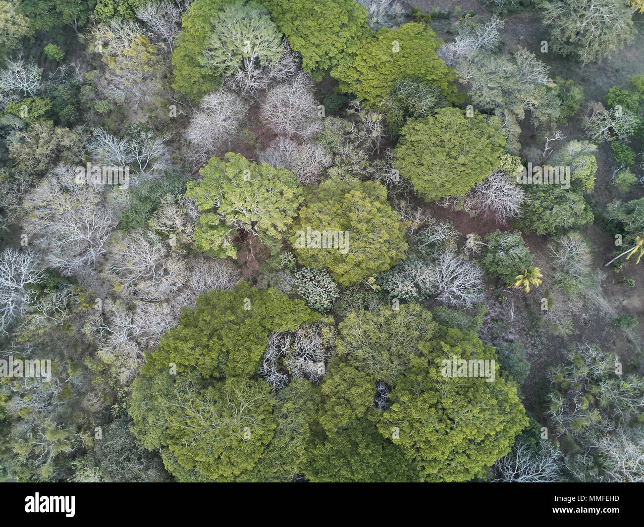Drone and nature hi-res stock photography and images - Alamy