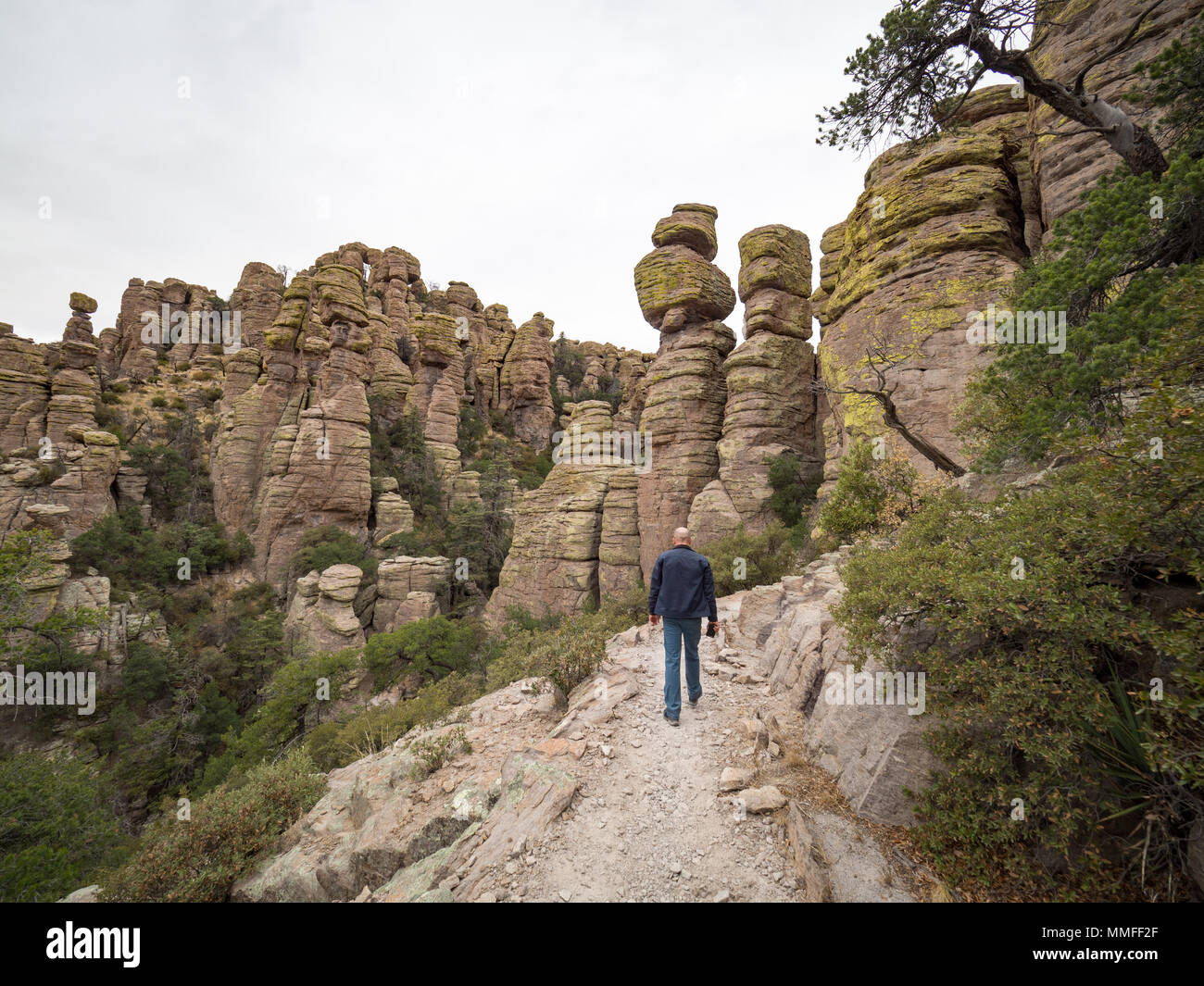 50 year old man, hiker on Echo Canyon Trail, Chiricahua National ...