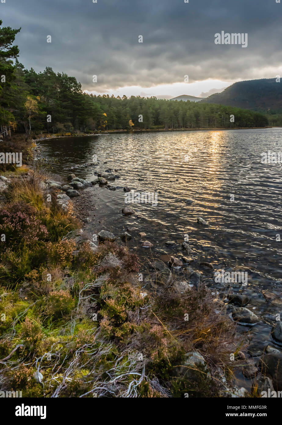 Well received hi-res stock photography and images - Alamy