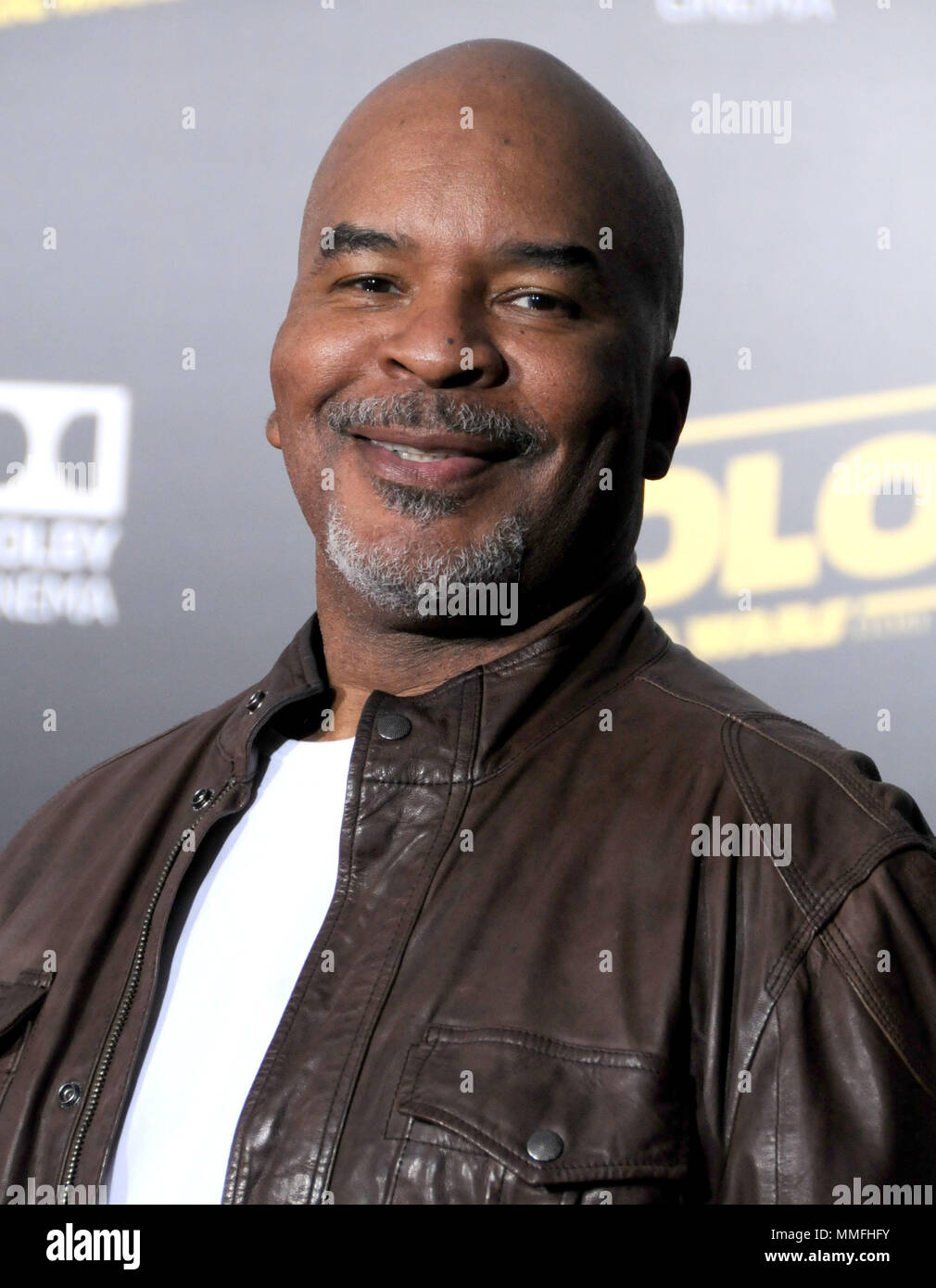 Hollywood, California, USA. 10th May, 2018. Actor David Allen Grier ...