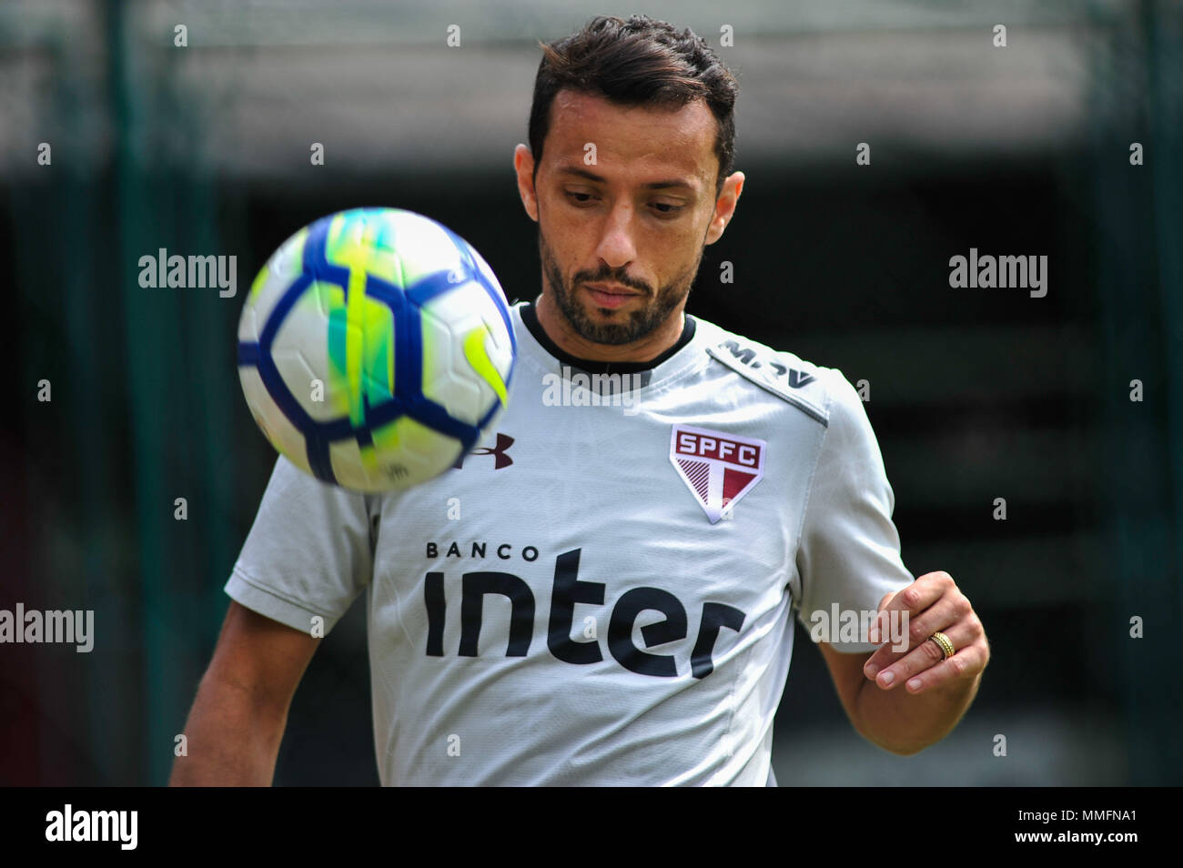 Nene 11 hi-res stock photography and images - Alamy
