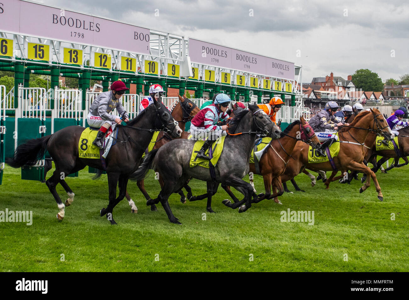 Chester racecourse starting stalls hi-res stock photography and images ...