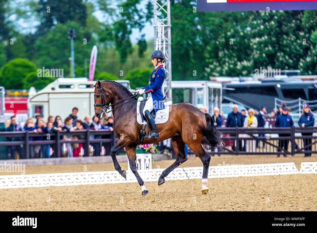 Royal windsor horse show hi-res stock photography and images - Alamy