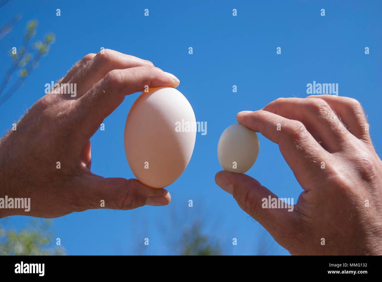 Different size hands hi-res stock photography and images - Alamy