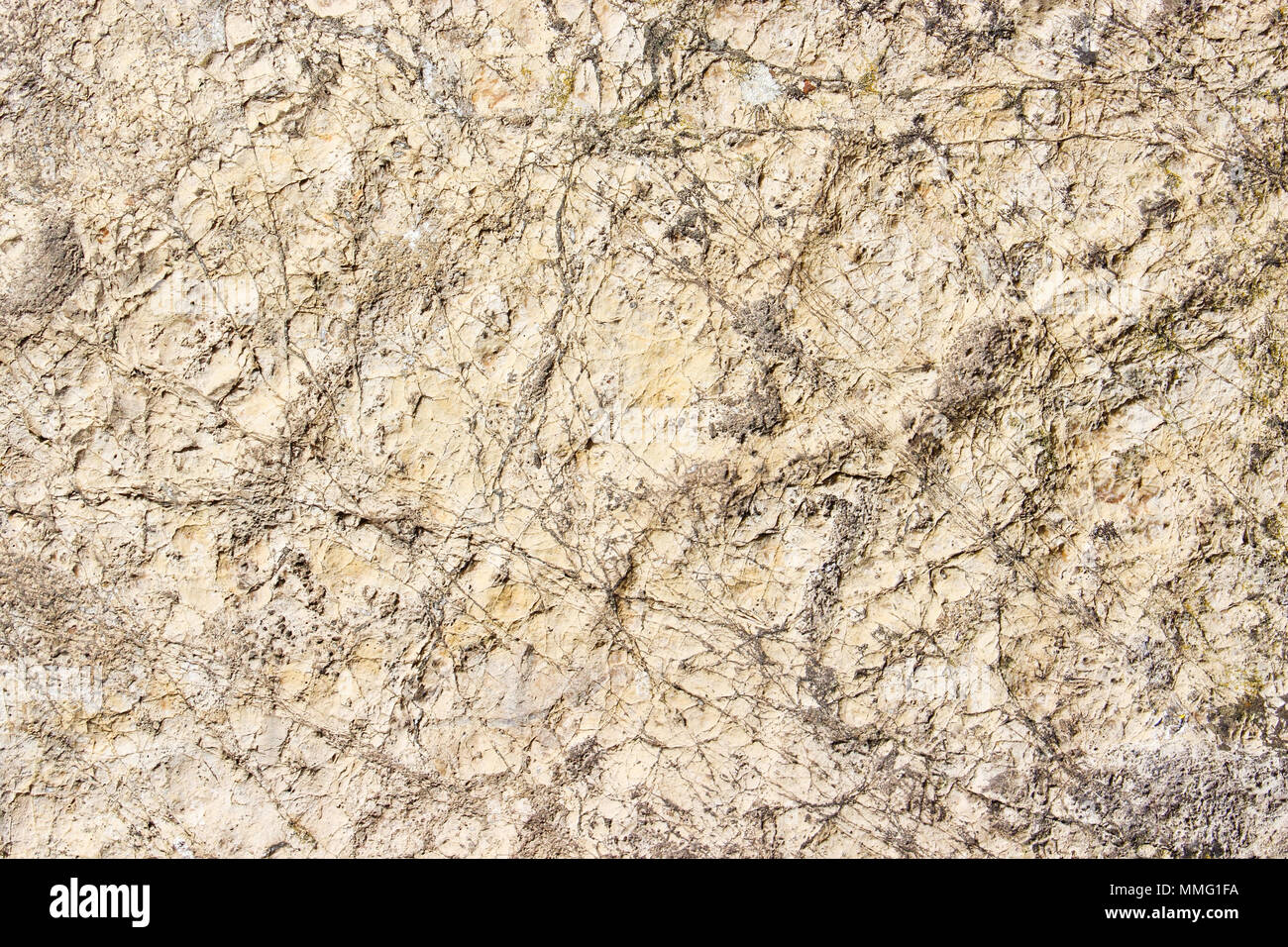 The texture of a flat stone limestone rocks in the background Stock ...