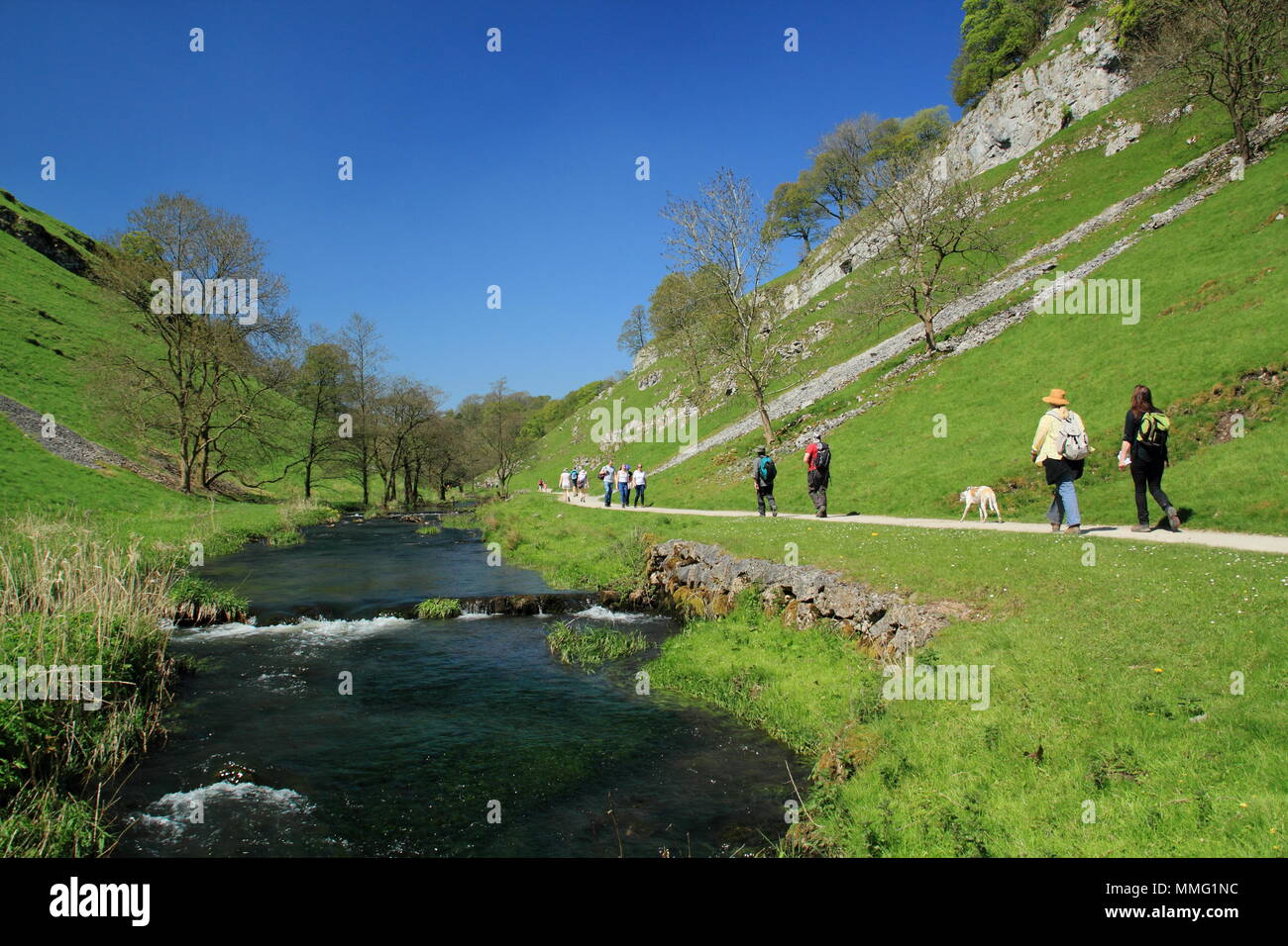 Walkers on public footpath by the River Dove in Wolfscote Dale, Peak ...
