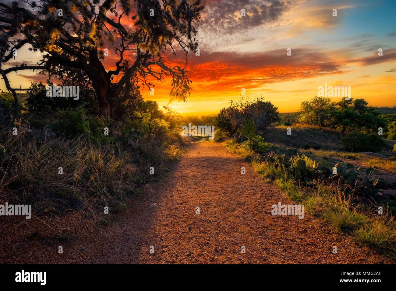 The enchanted hill hi-res stock photography and images - Alamy