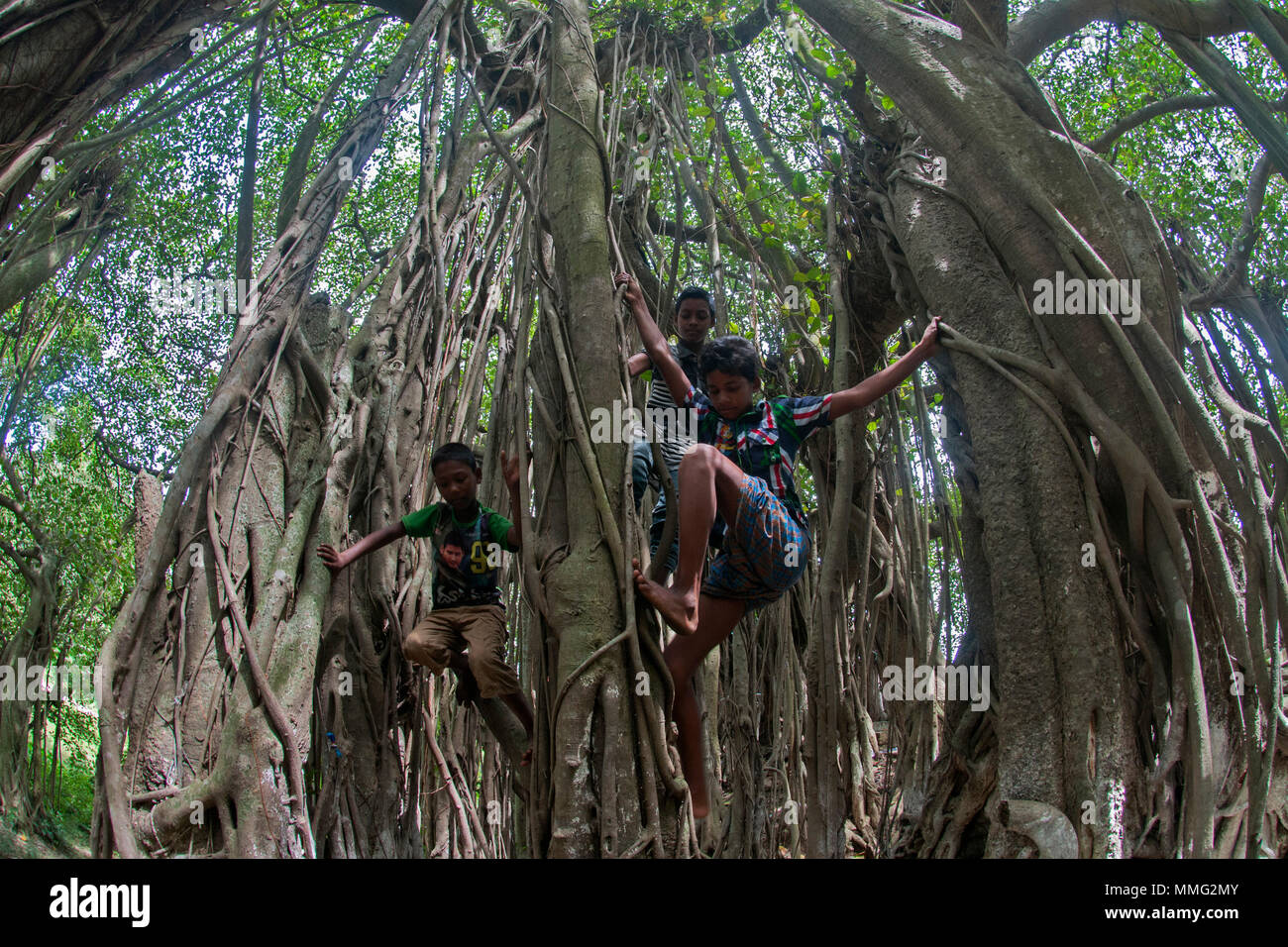 Children to play in hi-res stock photography and images - Alamy