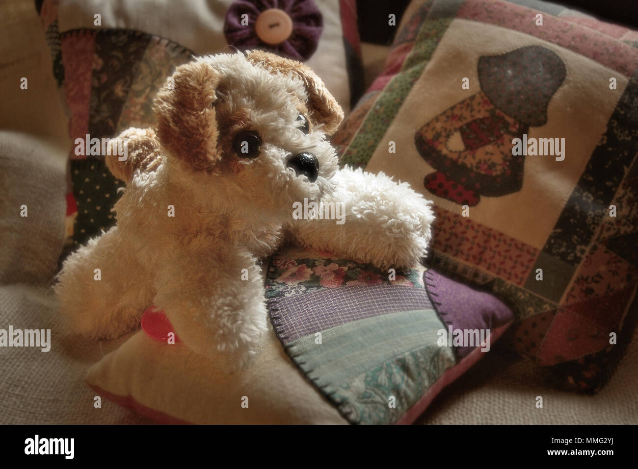 Small teddy bear puppy dog Stock Photo - Alamy