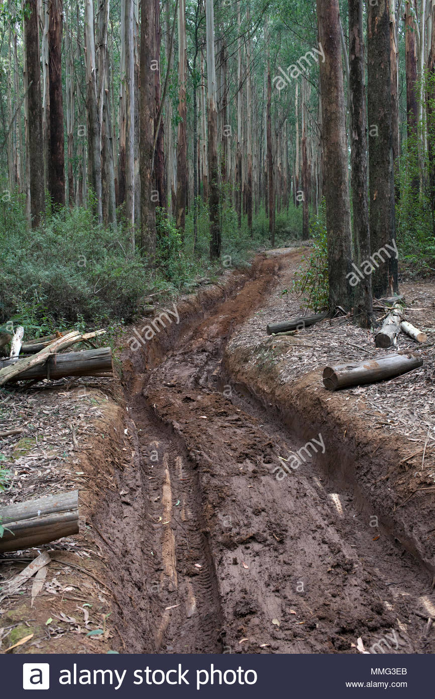 Mud Ruts Stock Photos & Mud Ruts Stock Images - Alamy