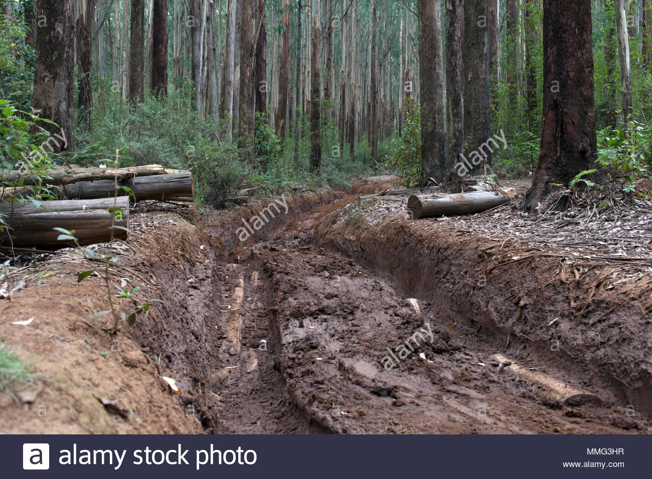 Mud Ruts Stock Photos & Mud Ruts Stock Images - Alamy