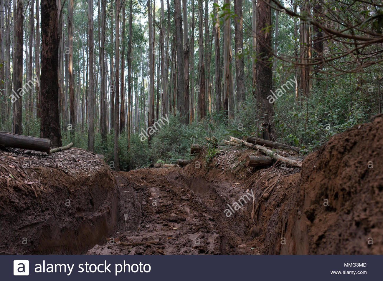 Mud Ruts Stock Photos & Mud Ruts Stock Images - Alamy