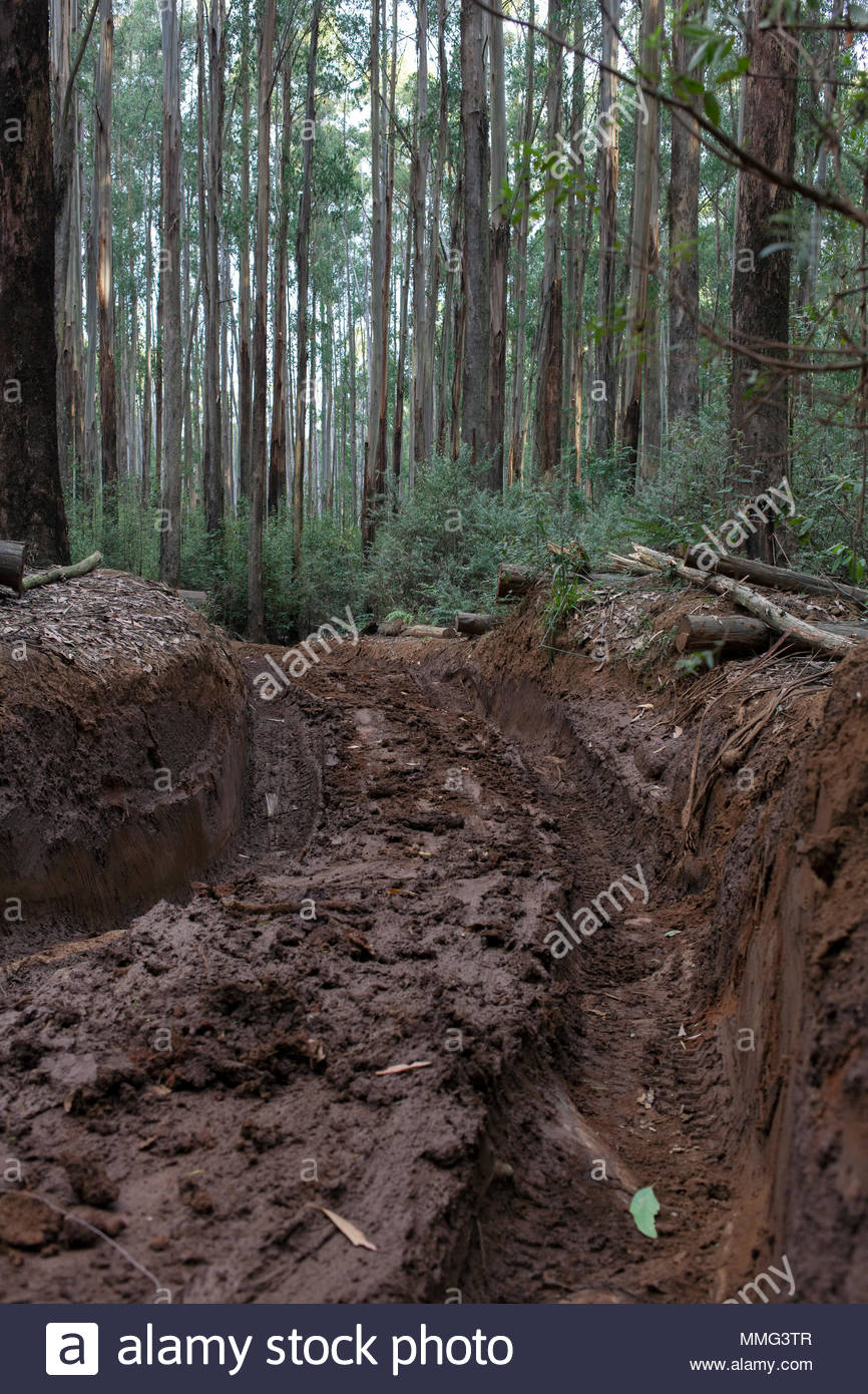 Mud Ruts Stock Photos & Mud Ruts Stock Images - Alamy