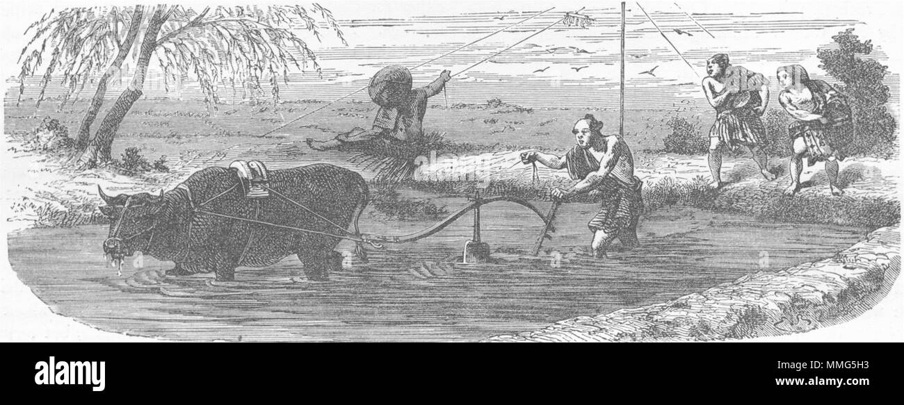 JAPAN. Rice cultivation 1880 old antique vintage print picture Stock ...